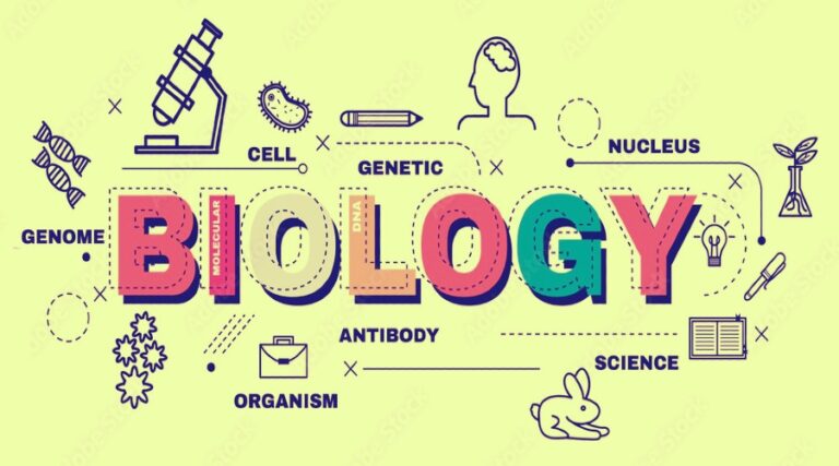 Why is Biology Important to Study? – SciTech Society